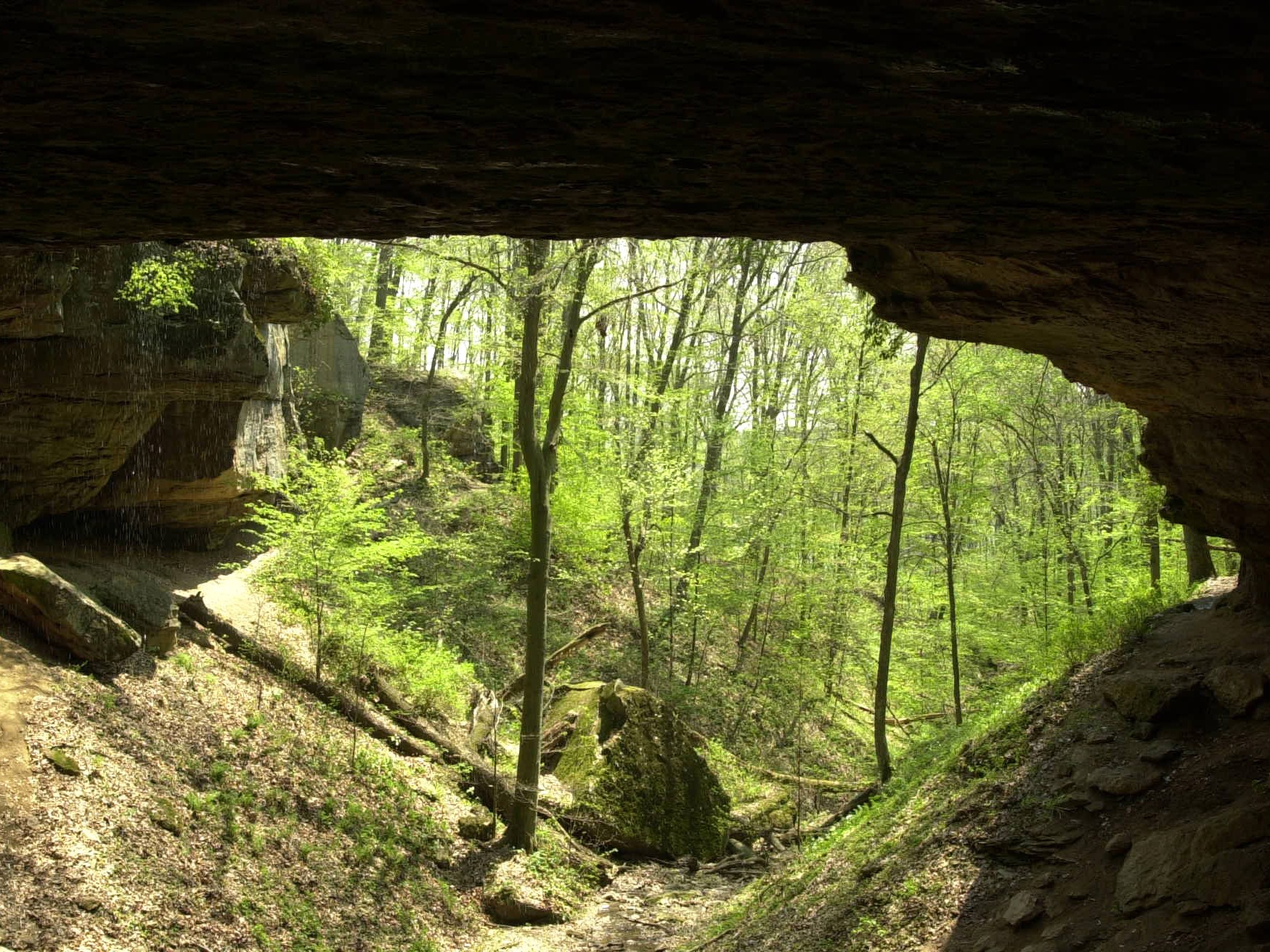 Ohio opens more state wildlife lands to fracking - Signal Ohio